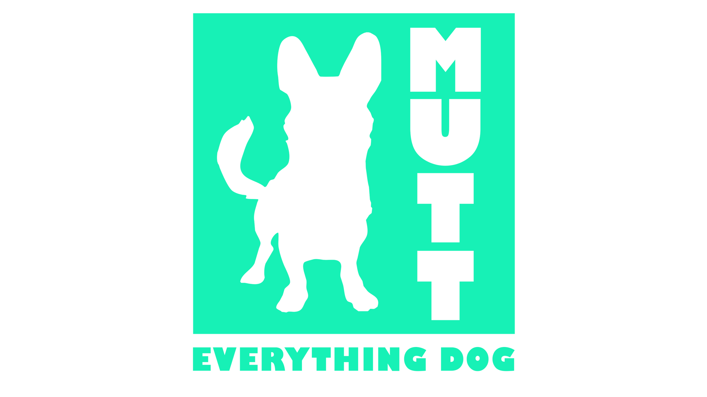 About | MUTT Everything Dog